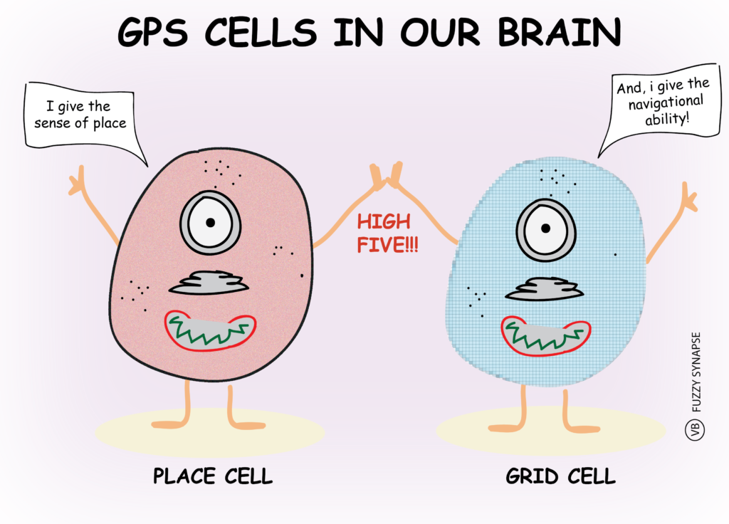 Illustrations Fuzzy Synapse